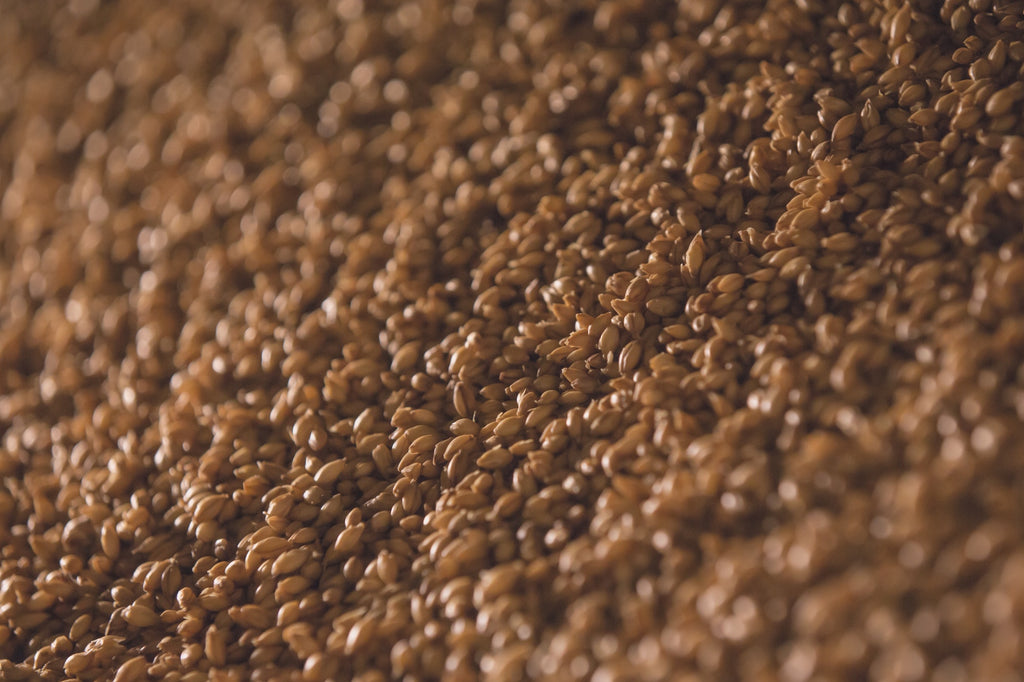 Gristy Business: A Guide to Grains – BrewHQ