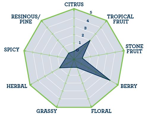 Hops - NELSON SAUVIN Pellets – BrewHQ