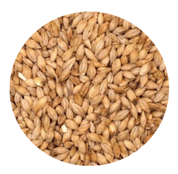 Vienna Malt - Best Malz (per lb) – BrewHQ