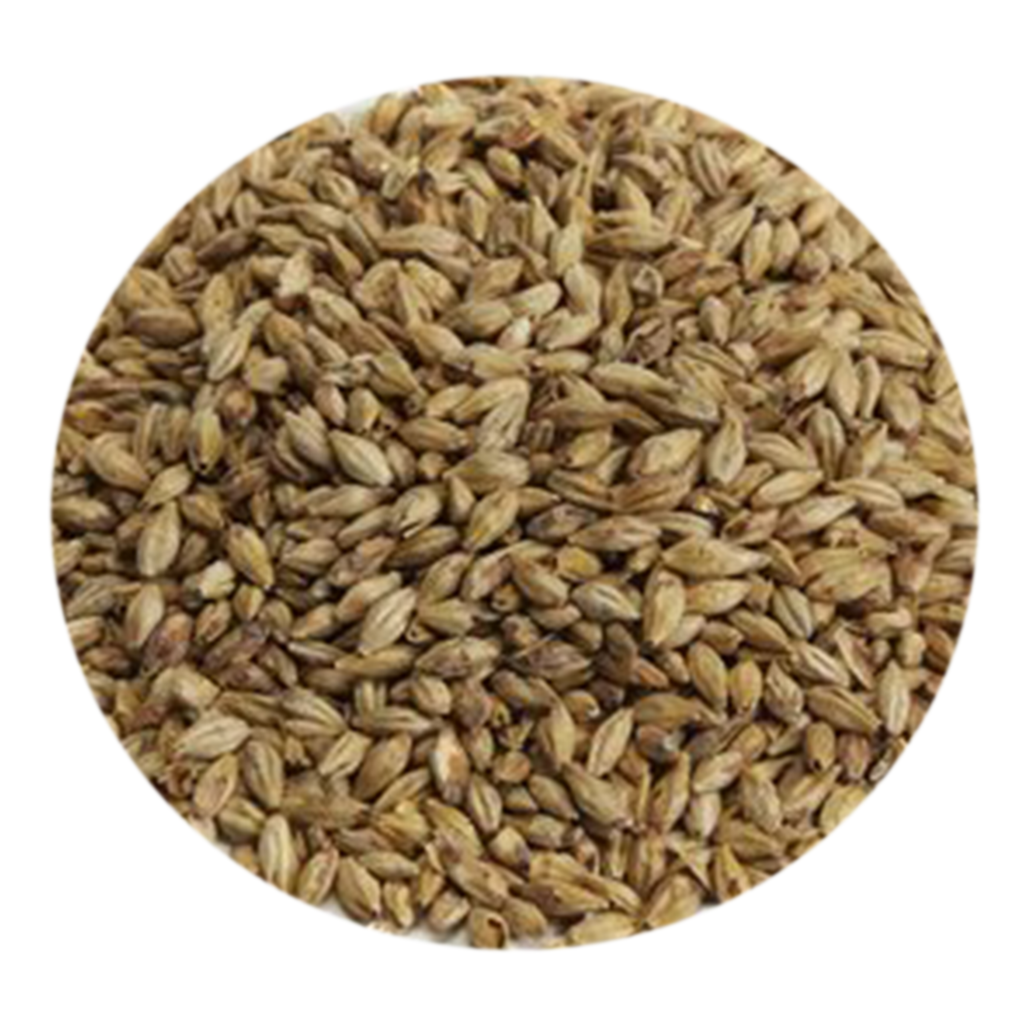 Melanoidin Malt - Best Malz (per lb) – BrewHQ